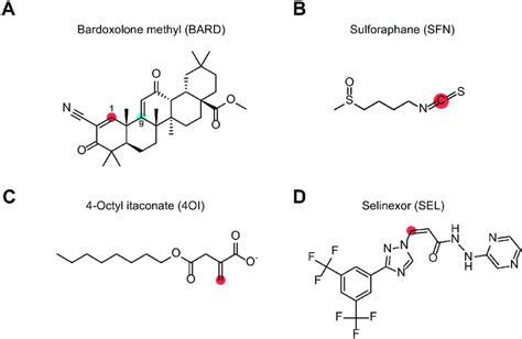 Chemical Structures Of The Four Compounds Used The Reactive