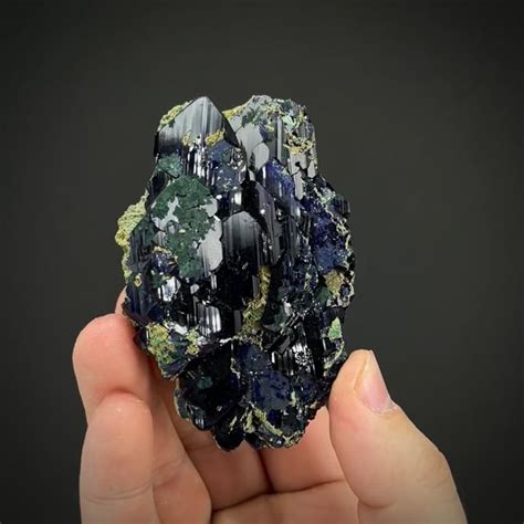 Special Dr Erika Pohl Collection Auction