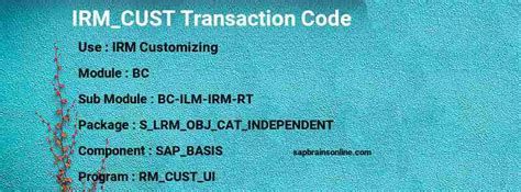 IRM CUST SAP Tcode For IRM Customizing