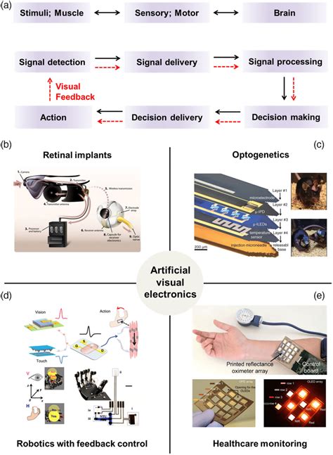 artificial visual electronics for closed loop artificial download