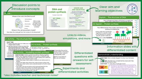 Dna And Protein Synthesis Teaching Resources