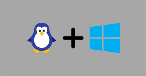 installer une application linux gui sur windows lecoindunet