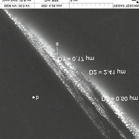 Phase Diagram Of Monotectic System And Directional Solidification Of B Download Scientific
