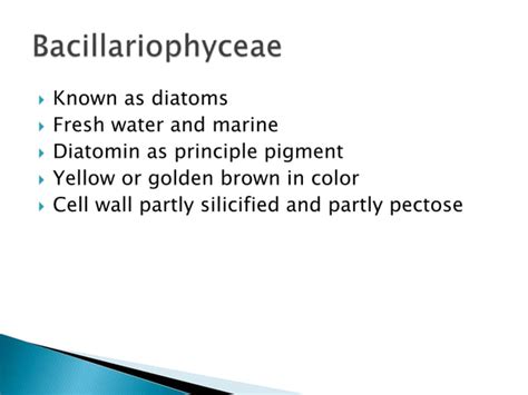 Classification Of Algae 123ppt