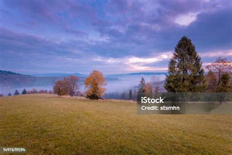 일출 전 이른 아침에 카르파티아 산맥의 안개 낀 계곡의 아름다운 가을 풍경 노란 나무가 있는 잔디 경사면 0명에 대한 스톡 사진 및 기타 이미지 Istock