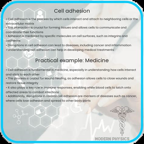 Cell Adhesion Biophysical Mechanisms Processes