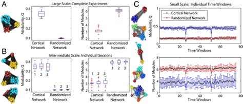 Dynamic Reconfiguration Of Human Brain Networks During Learning Pmc