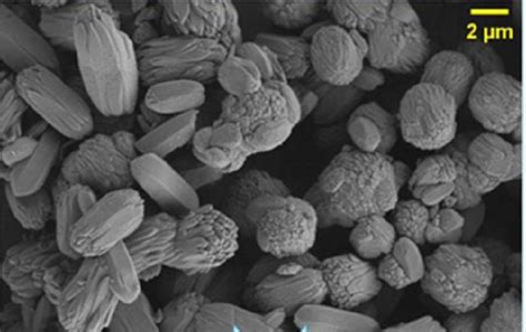 Sem Image Of Core Shell Structure Mg Mof 74 Msio 2 Reproduced With Download Scientific