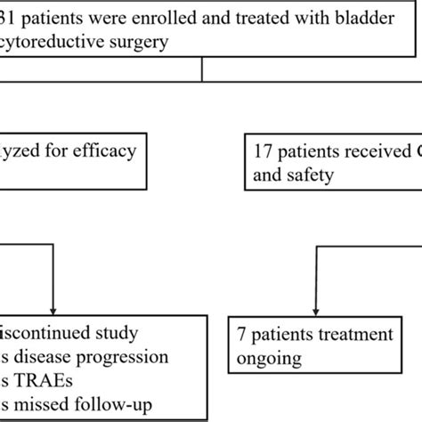 Patient Disposition Tgc Tislelizumab Plus Gemcitabine And Cisplatin Download Scientific