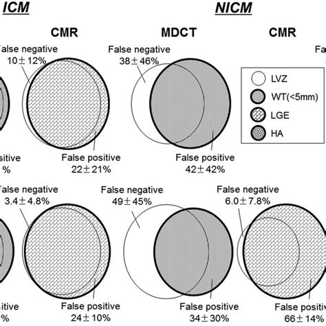 Agreement Between Structural Substrate On Imaging And Voltage Mapping Download Scientific