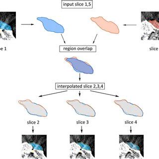 One Iteration In The Proposed Morphological Contour Interpolation Download Scientific Diagram