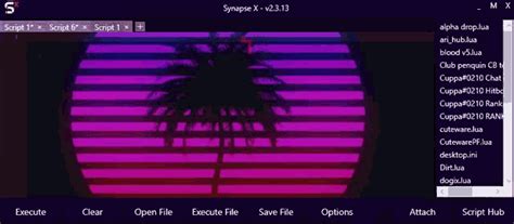 Synapse X Synapse X Discover Share GIFs