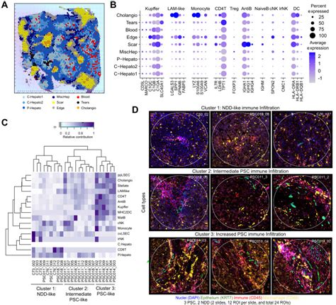 Single Cell Single Nucleus And Spatial Transcriptomics