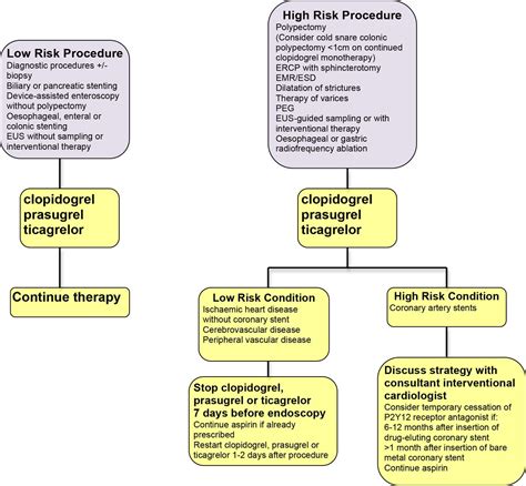 Endoscopy Anticoagulation Guidelines 2022 At Judith Tomlin Blog