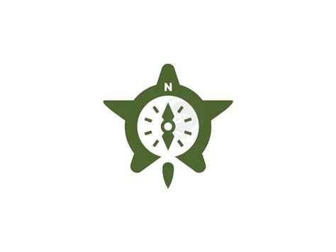 Turtle Compass Logo Branition