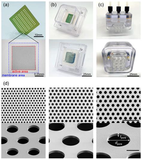 Membranes Special Issue Separation Principles And Applications Of