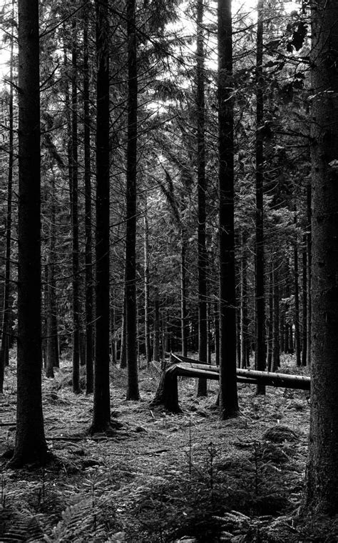 Sumi Isshoku By T 3 T On Deviantart