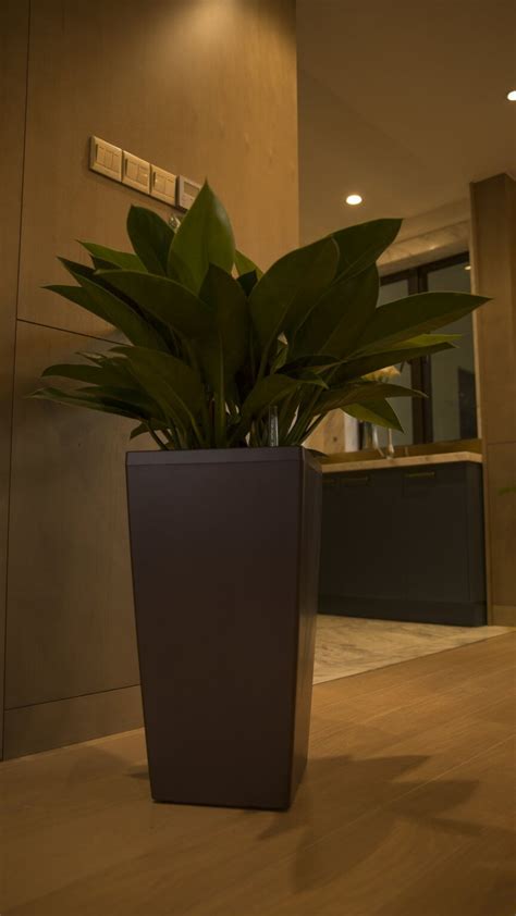 Smart Self Watering Planter Comfort Living Ph