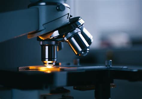 This 60 3d Printed Raspberry Pi Microscope Captures Sub Cellular Details With Amazing Clarity