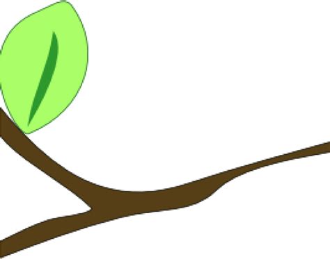 Download Single Leafon Branch Illustration