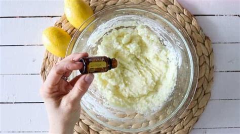 Deodorize Garbage Disposal Our Oily House