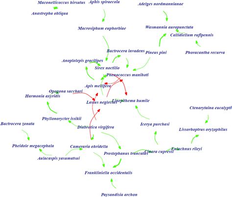 Symmetric Insect Interdependence In Spread Effects Each Node Download Scientific Diagram