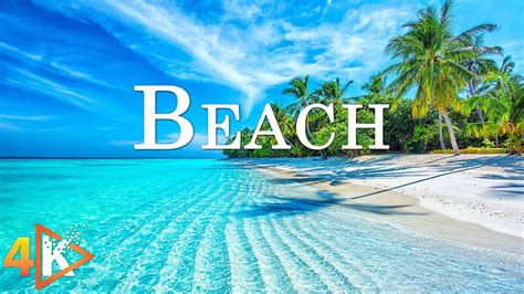 Beach 4k Golden Sands And Crystal Clear Waves With Relaxing Music