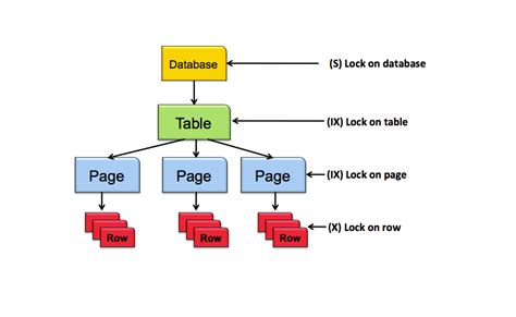 Difference Between Sql T Sql And Plsql
