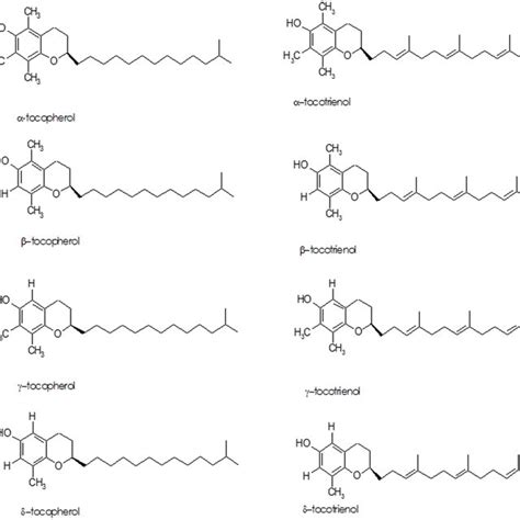 Structure Of Tocopherols And Tocotrienols Download Scientific Diagram