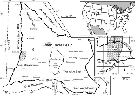 The Occurrence And Significance Of Ulcerative Shell Disease Usd On Geoemydid Turtles Middle