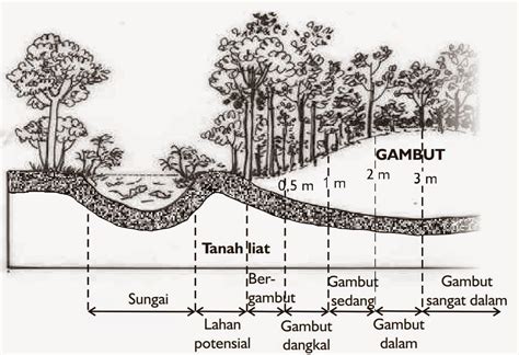 Valuasi Ekonomi Ekosistem Gambut Tahapan Kerangka Dan Prosedur
