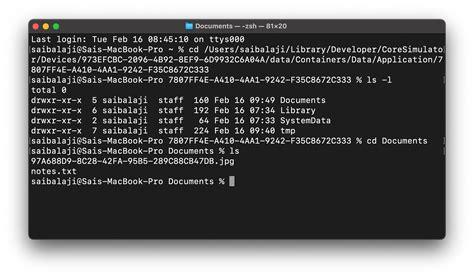 Demystifying Iosipados Sandbox With Swift Code By Sai Balaji