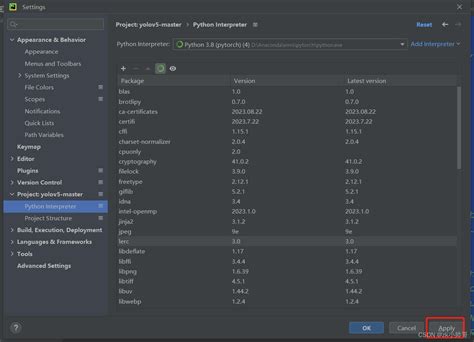 Anacondapytorchyolov5保姆级攻略anaconda Python Yolov Csdn博客