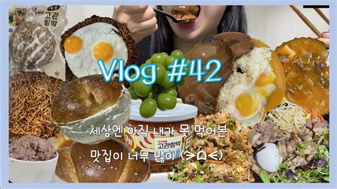 먹방vlog 구독자이벤트결과발표 173cm74kg의 폭식브이로그함박스테이크만능고추장소금빵크림베이글샤인머스켓우삼겹비빔밥차돌된장찌개짜파게티파김치먹는 폭식
