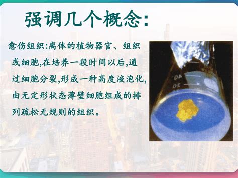 植物体细胞杂交技术 Ppt Word文档在线阅读与下载 无忧文档