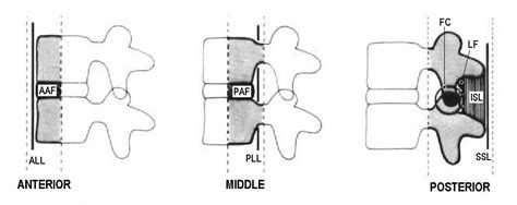 Denis Three Column Theory