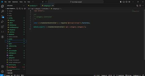 faiqa asghar on linkedin strapi headlesscms api webdevelopment