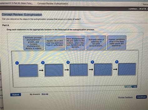 Solved Can You Sequence The Steps In The Eutrophication