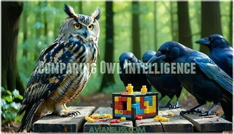 Are Owls Smart The Surprising Truth About Owl Intelligence