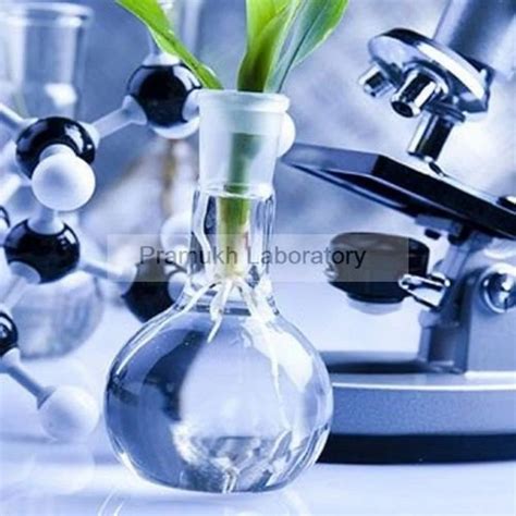 Bacteria Testing Services At ₹ 255sample In Ahmedabad Id 17700391212