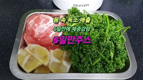 5일 해독 프로그램 몸속 독소 노 폐물 제거~ 체중감량은 덤 Youtube