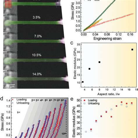 In Situ Scanning Electron Microscope Sem Tensile Tests And Download Scientific Diagram