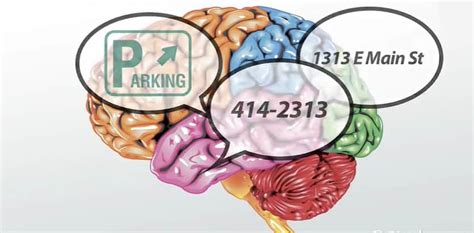 Declarative Memory And Procedural Memory Explicit And Implicit
