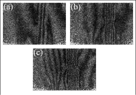 Figure 3 From Assessment Of Defect Detection In Woodplastic Composites Via Shearography Method