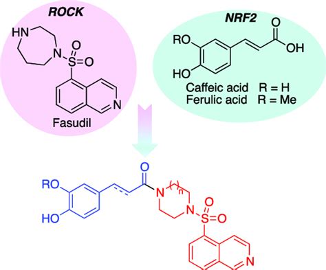 Our Molecular Hybridization Strategy Download Scientific Diagram
