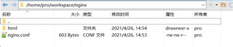 docker nginx部署springboot vue前后端分离项目 {yogurt} 博客园
