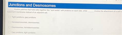 Solved Junctions And Desmosomesinvolve Patches That Hold