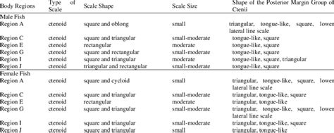 Variation In The Type Of Scales Scale Shape Scale Size And Shape Of Download Scientific