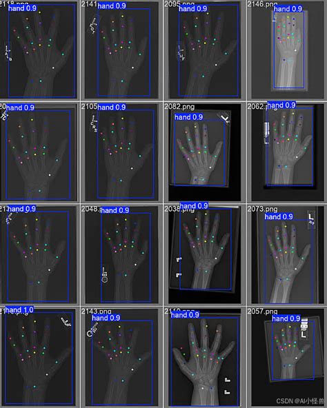 Yolov13 Pose关键点检测：训练实战手把手教程篇 自己数据集从labelme标注到生成yolo格式的关键点数据以及训练教程yolov13 Pose Csdn博客