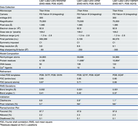 Cryo Em Statistics For Data Collection And Model Refinement Download